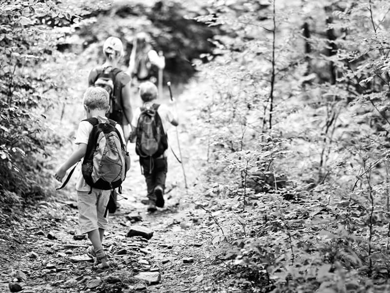 Citriodiol manufacturer for your white label products | Primmed