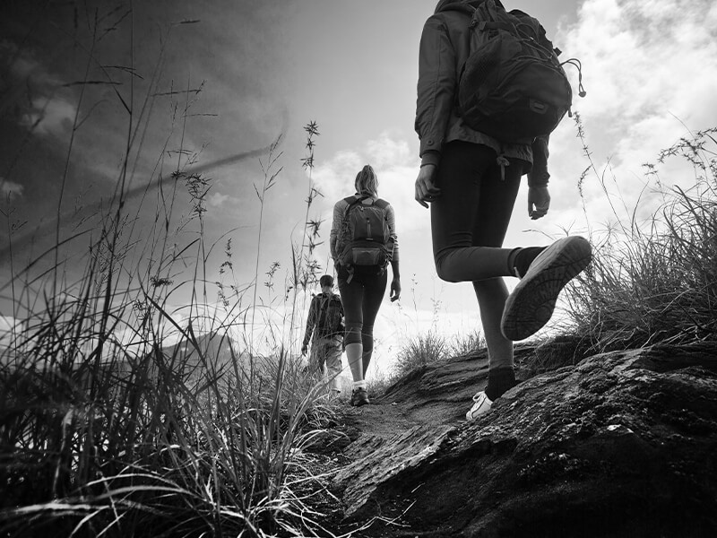 DEET mosquito spray manufacturer | Primmed